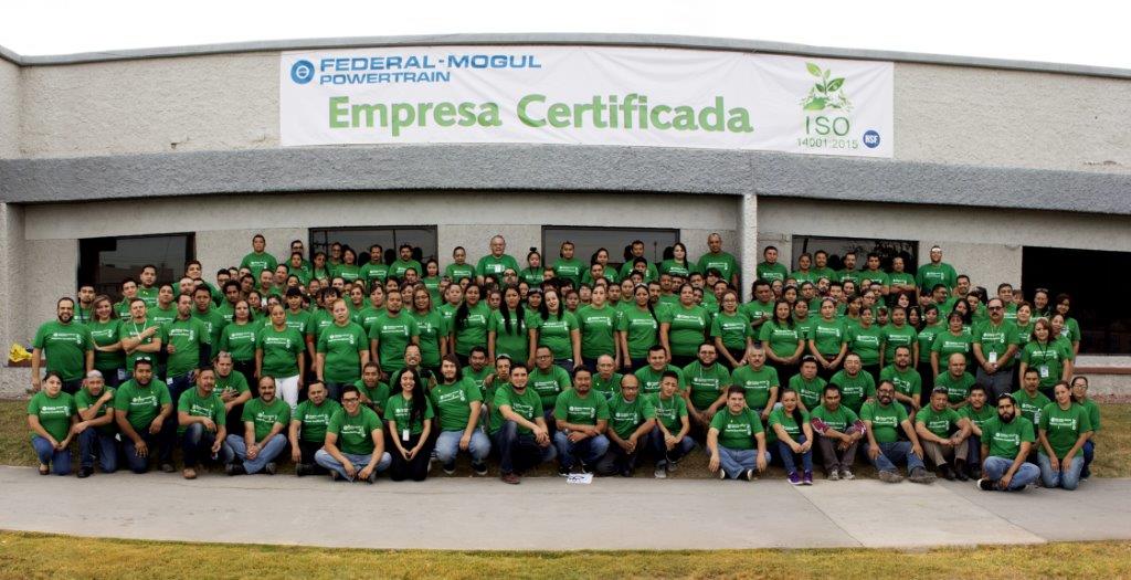 About | Tenneco Powertrain Lighting